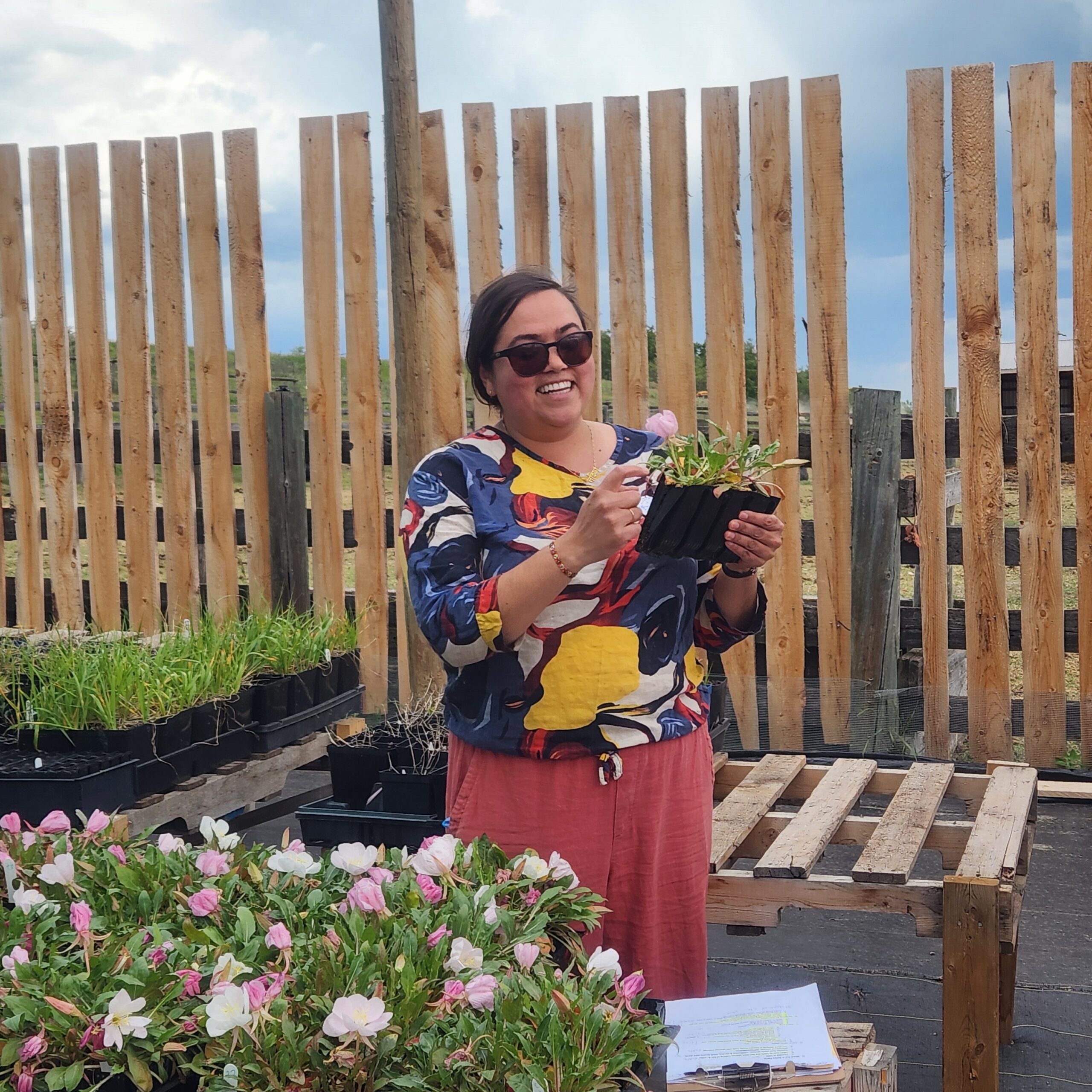 ALCLA Native Plants | AMA School Garden Studio